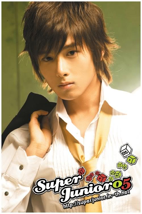 super junior: integrantes.